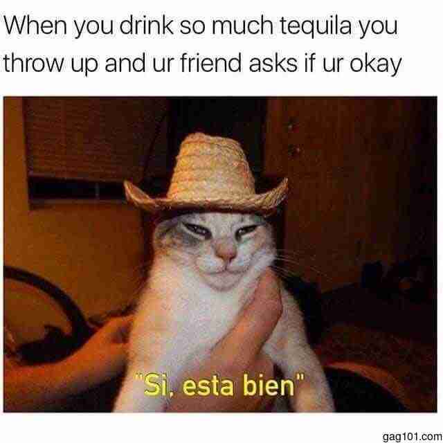 Meme Funny GAG101